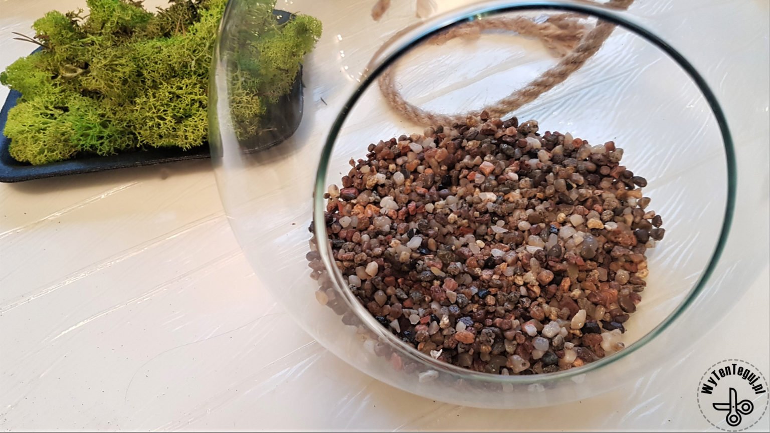 Las w słoiku dla początkujących - WyTenTeguj - Pomysł na prezent