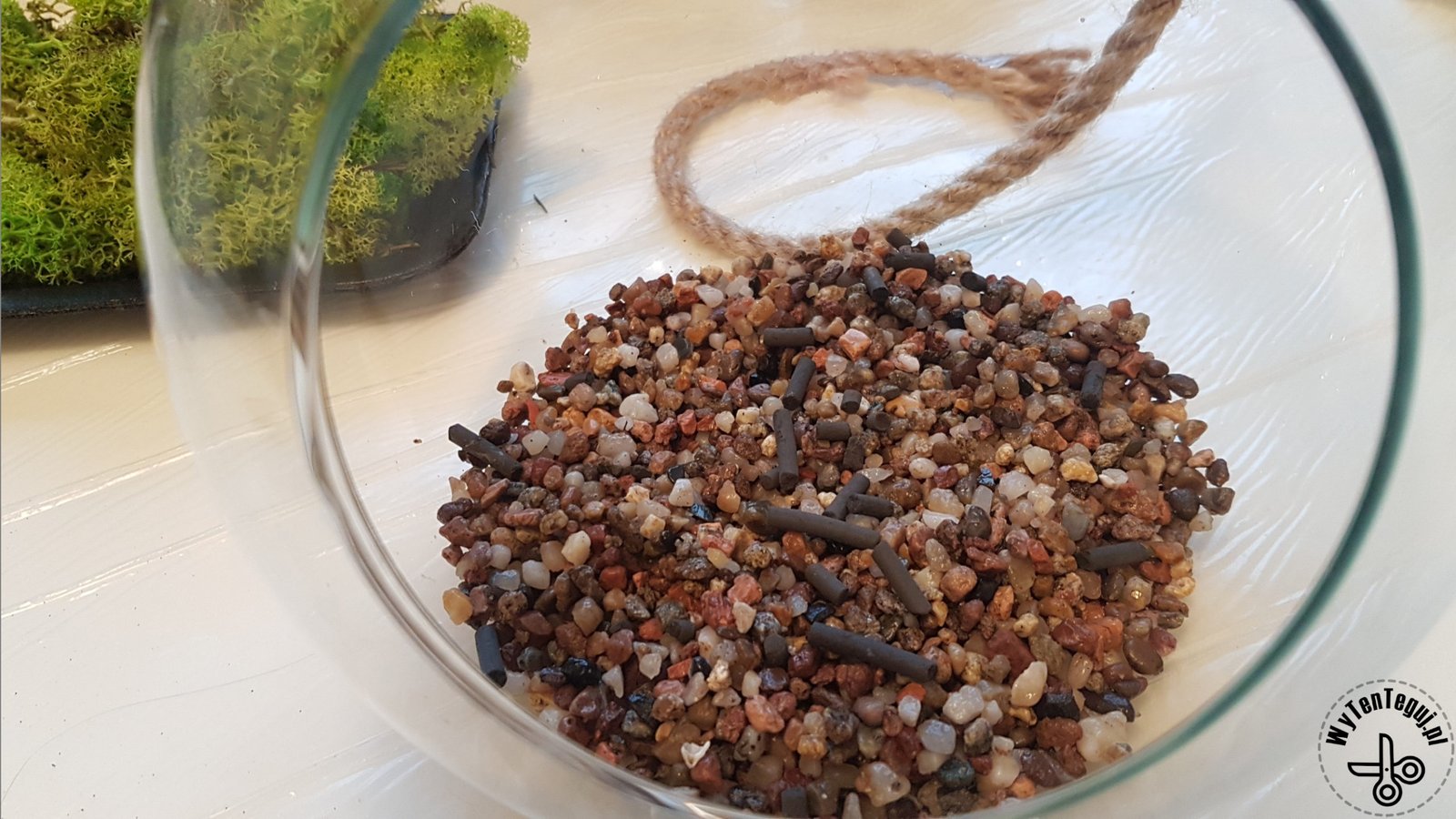 Las w słoiku dla początkujących - WyTenTeguj - Pomysł na prezent