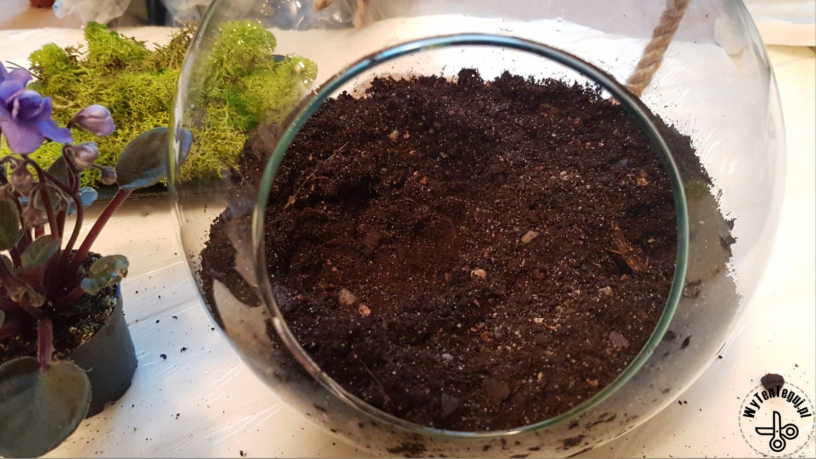 Las w słoiku dla początkujących - WyTenTeguj - Pomysł na prezent