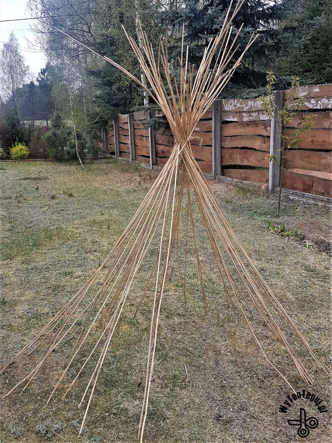 Bean teepee - combination of bean trellis and a kid's hut