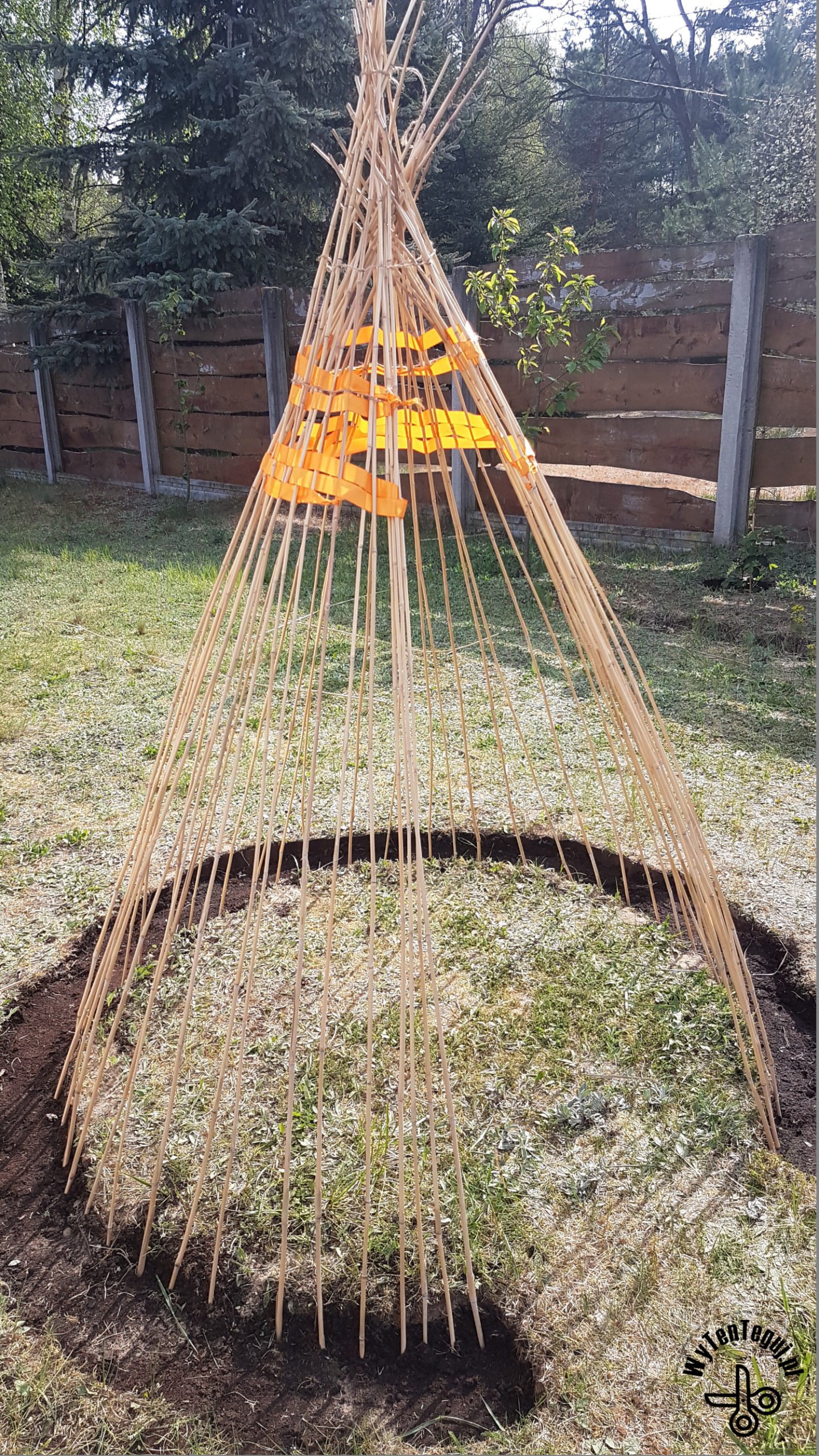 Bean teepee - combination of bean trellis and a kid's hut